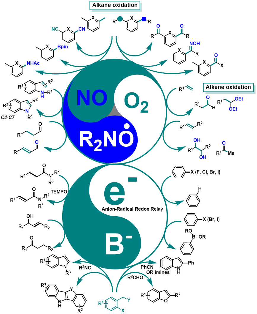 中国科学技术大学 Kang's Research Group--Home--Research